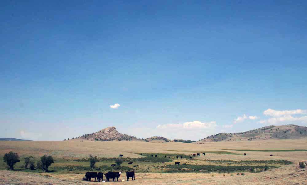 UW Foundation intent on cashing-in gift of Y Cross ranch - WyoFile