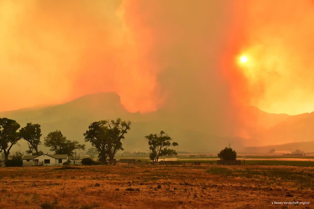 Fire prone and fat animals: What this whimpering winter might mean for ...