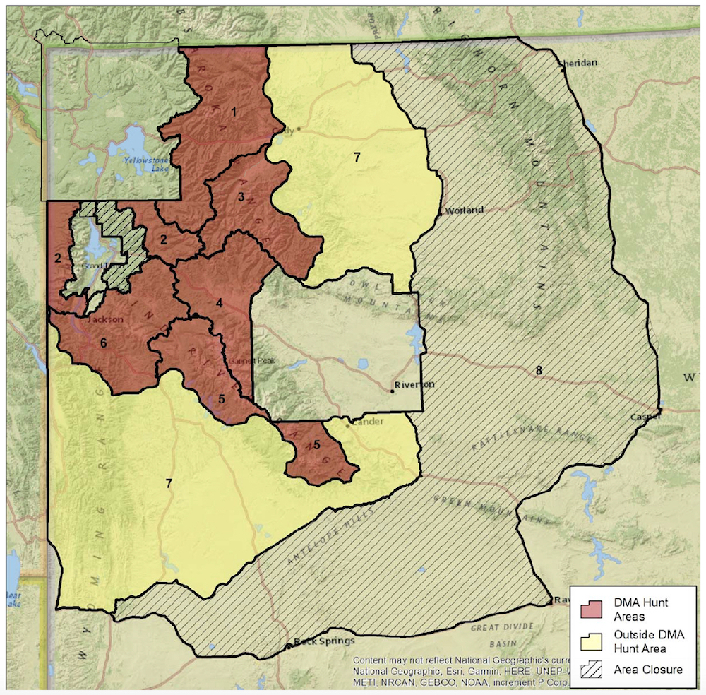 As grizzly hunt nears, all eyes on Montana court - WyoFile