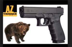 10mm Glock 'fully functional' in fatal grizzly attack - WyoFile