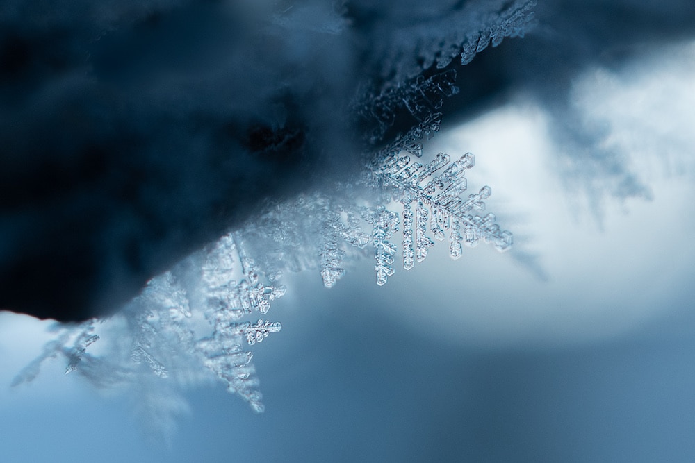 Cold snap challenge - WyoFile