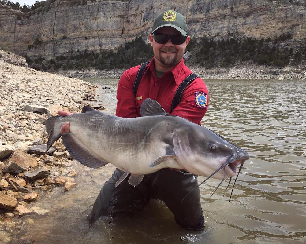 Restoring the ancients; native Wyo fish reclaim some waters - WyoFile