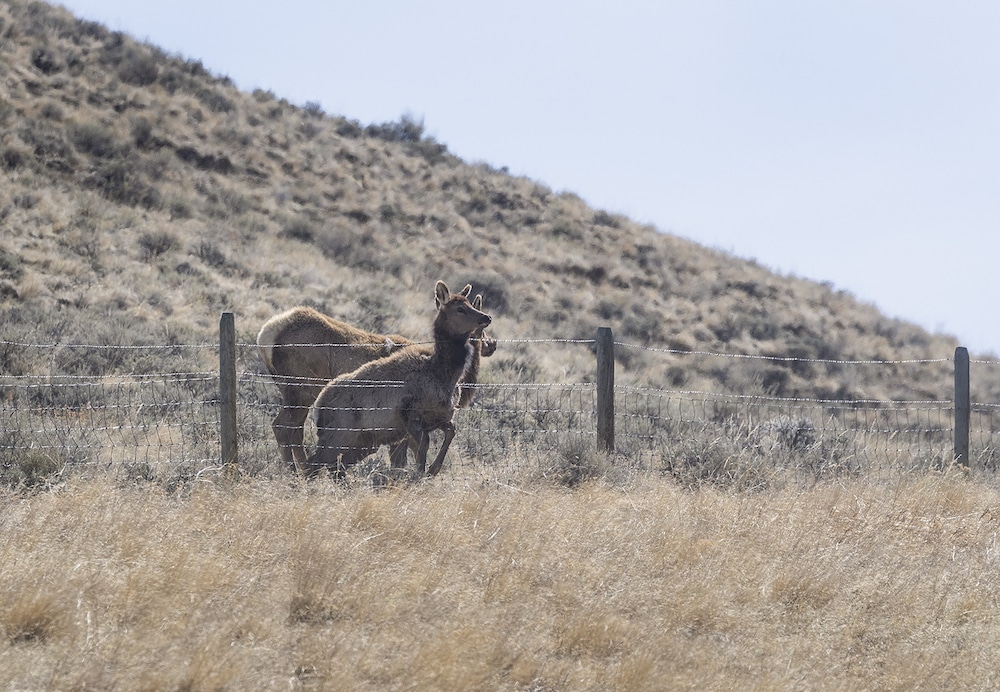 Photography: Mending fences - WyoFile