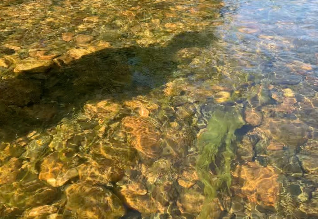 How does water law handle climate change? Watch the Encampment River ...