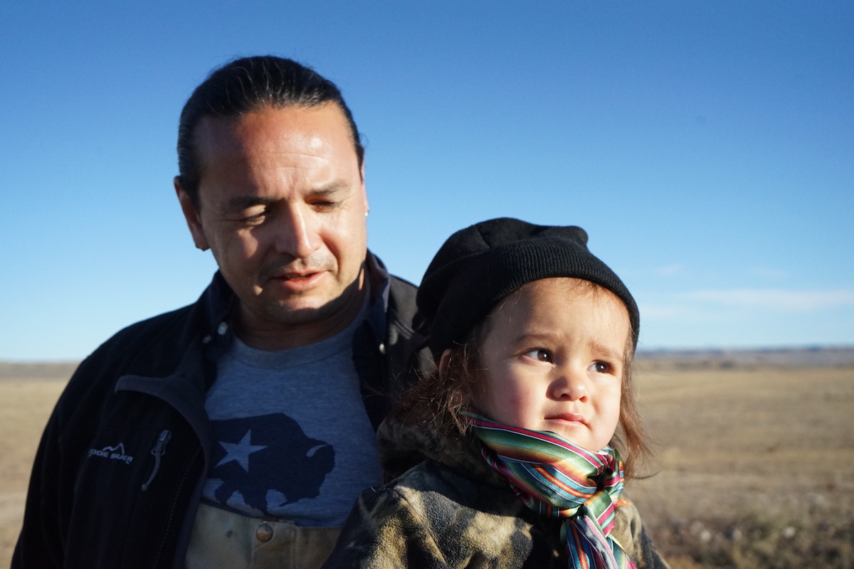 ‘Good medicine’: Buffalo delivered to new home on the reservation - WyoFile