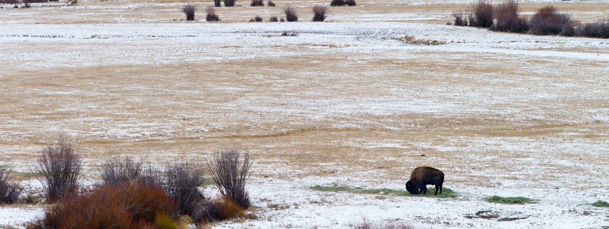 Sublette OKs billionaire’s resort where deer and antelope play - WyoFile