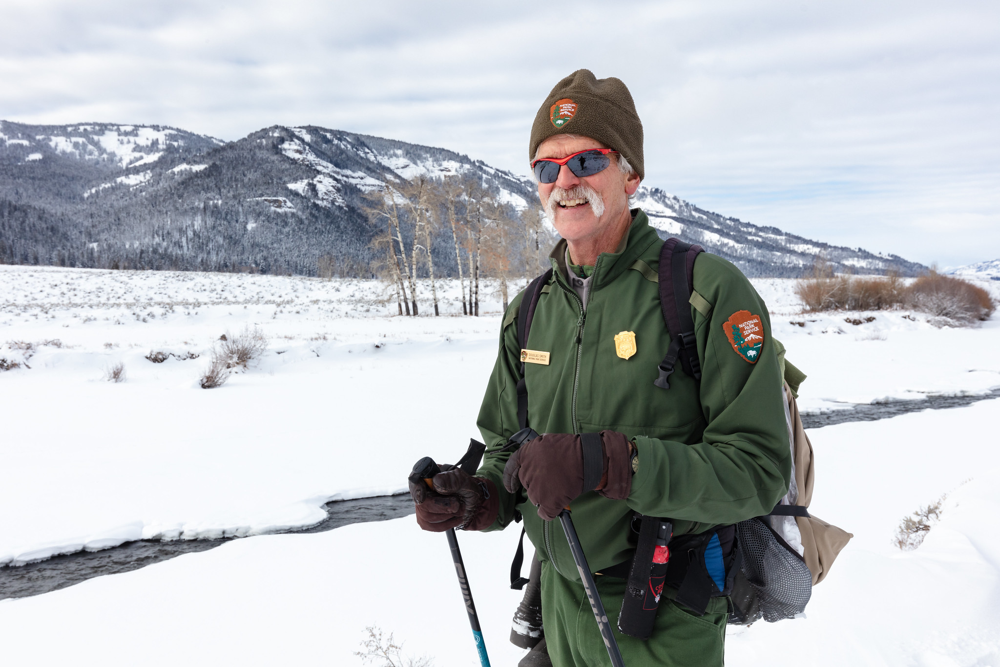Yellowstone: Wolf hunt altered behavior, damaged research - WyoFile