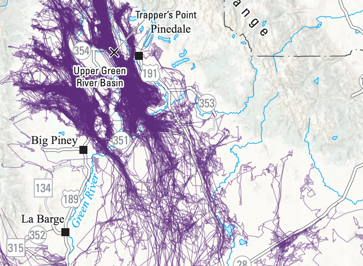 ‘Path of the Pronghorn’ protections delayed as development proceeds ...