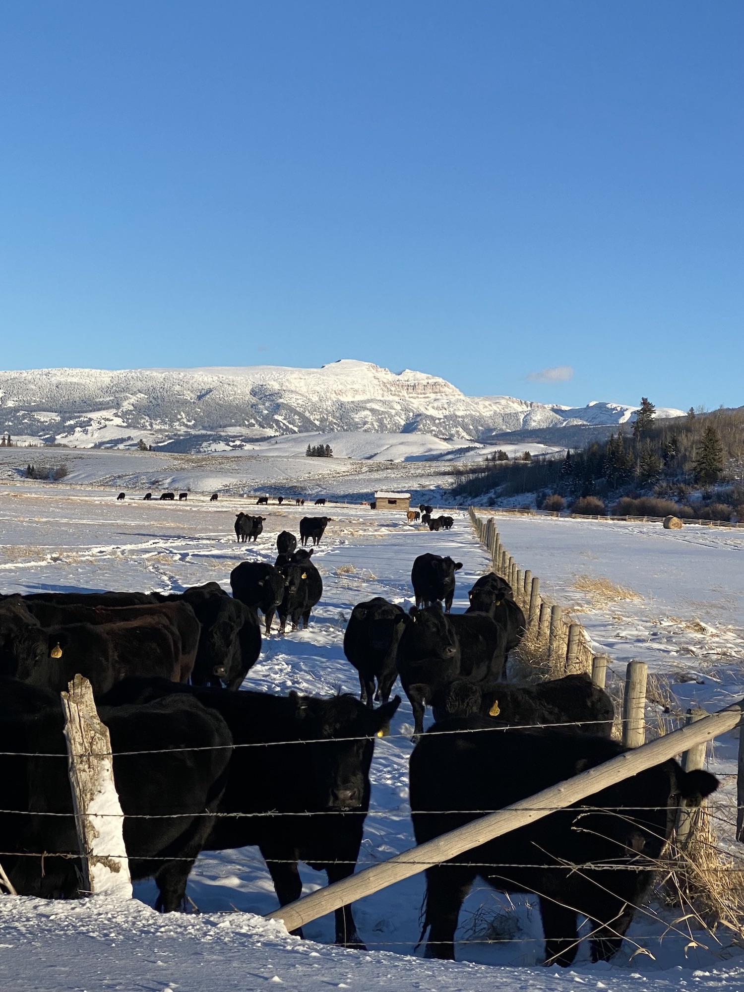 Farewell to freezing - WyoFile