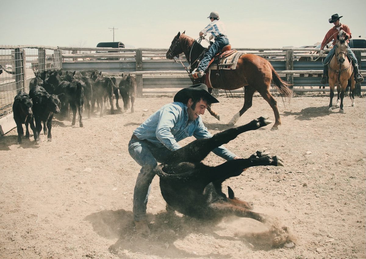 Remembering Luke Bell, ‘Wyoming’s troubadour’ - WyoFile