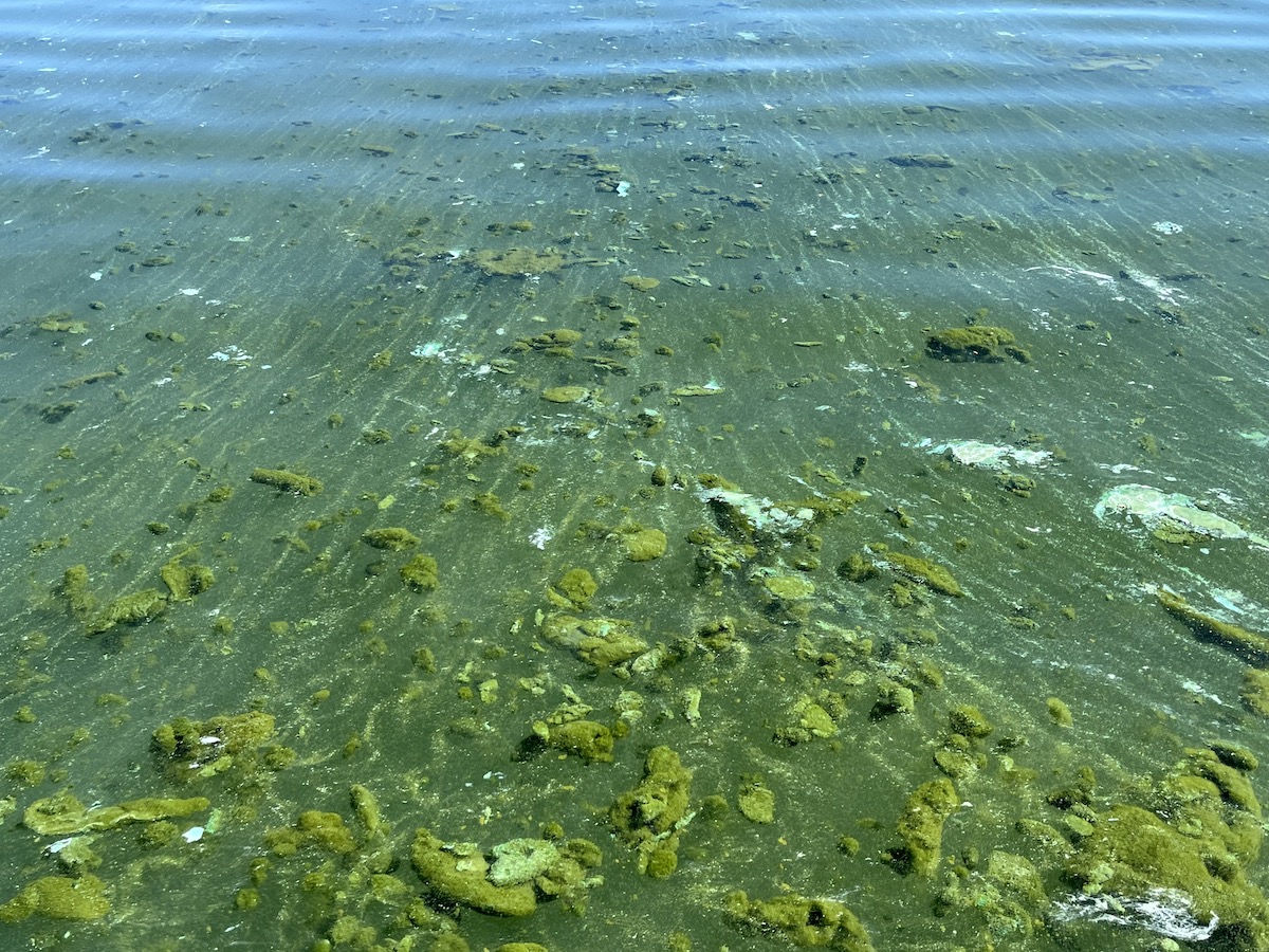 Flaming Gorge drawdown threatens local fishing, recreation economy ...