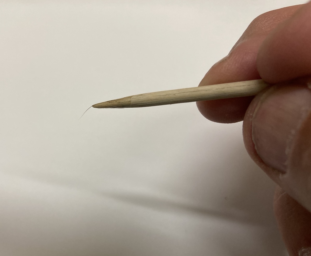 Mites v. whitetop: Wyo aims biological weapon at weed - WyoFile