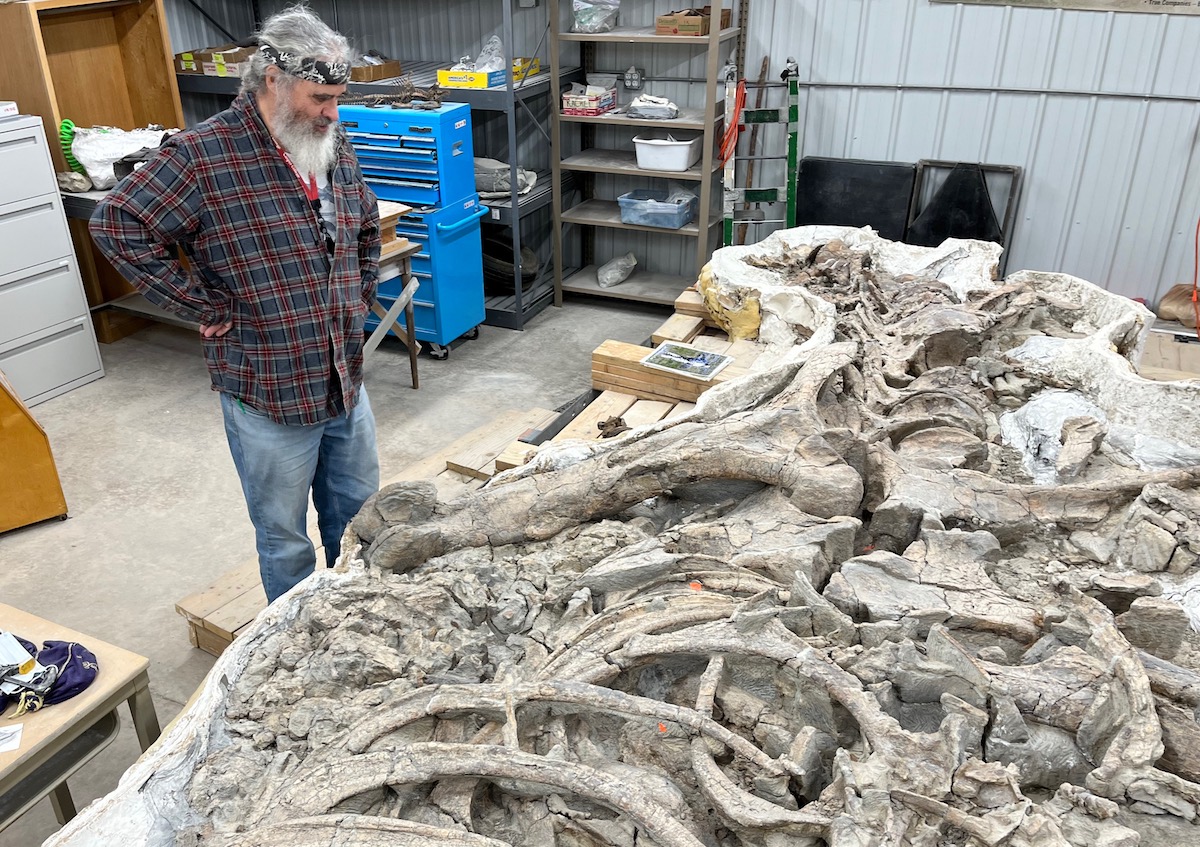 Dinosaur bones can be a small town’s movie stars - WyoFile