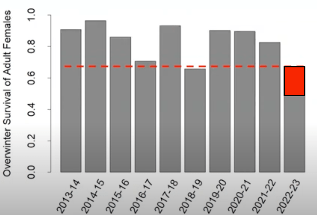 Mule deer death rates deepen in western Wyoming - WyoFile
