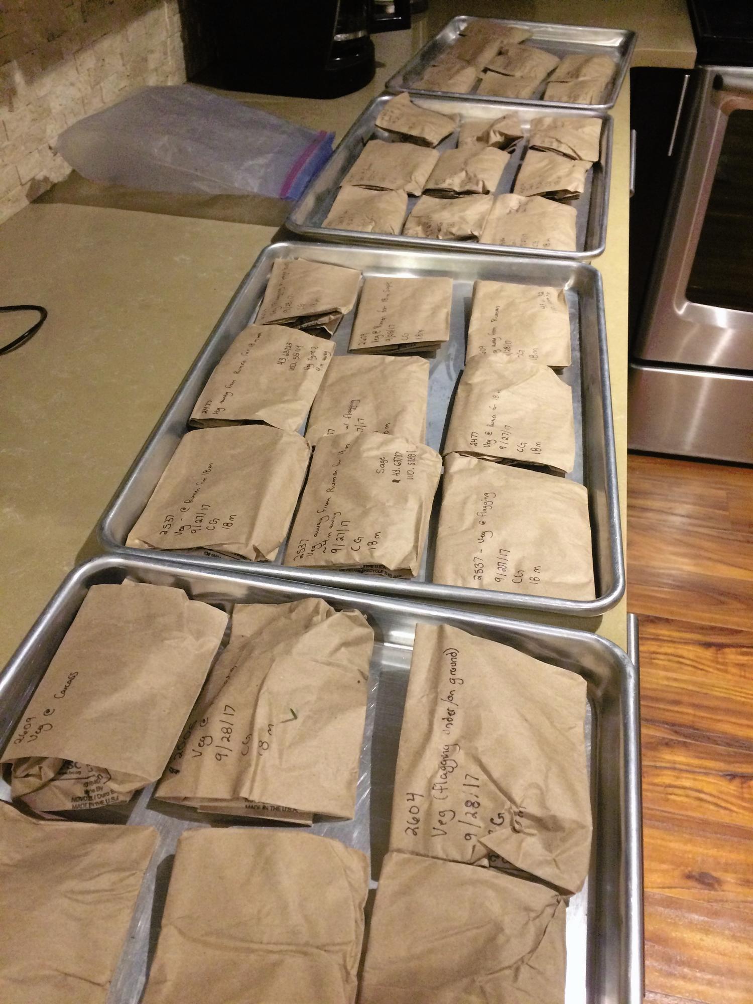 Mountain lion kill sites give vegetation a boost, new study shows - WyoFile