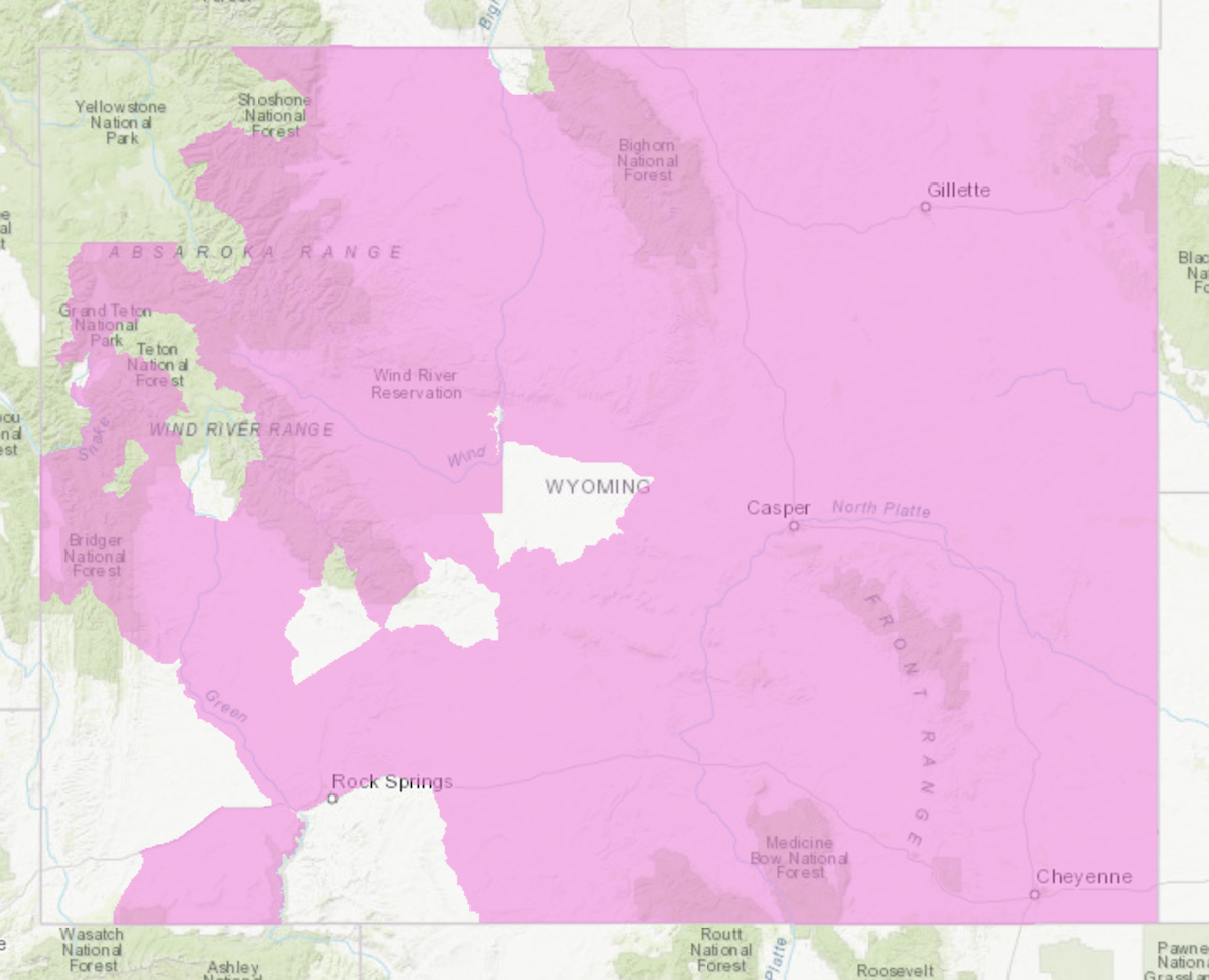 Chronic wasting disease found in Yellowstone National Park - WyoFile