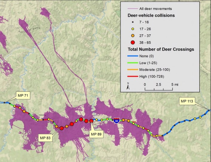 How to decimate a mule deer herd: A case study in Wyoming - WyoFile