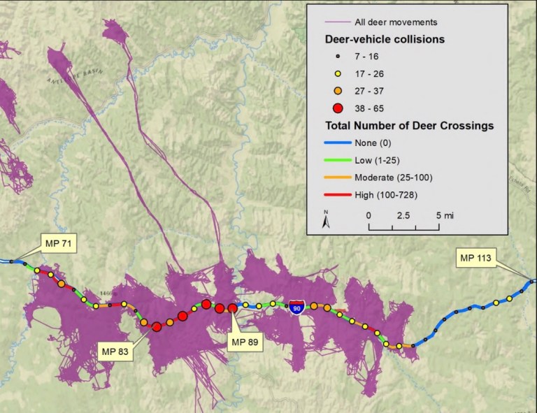 How to decimate a mule deer herd: A case study in Wyoming - WyoFile
