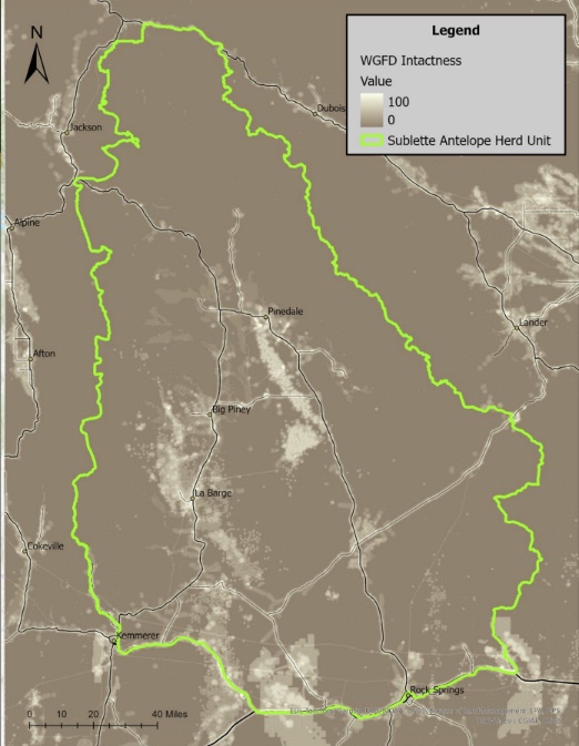 Industry pressure fails to halt Wyoming’s ‘Path of the Pronghorn ...