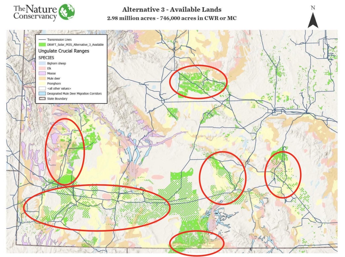 Conservation groups press for big game habitat exclusions in federal ...