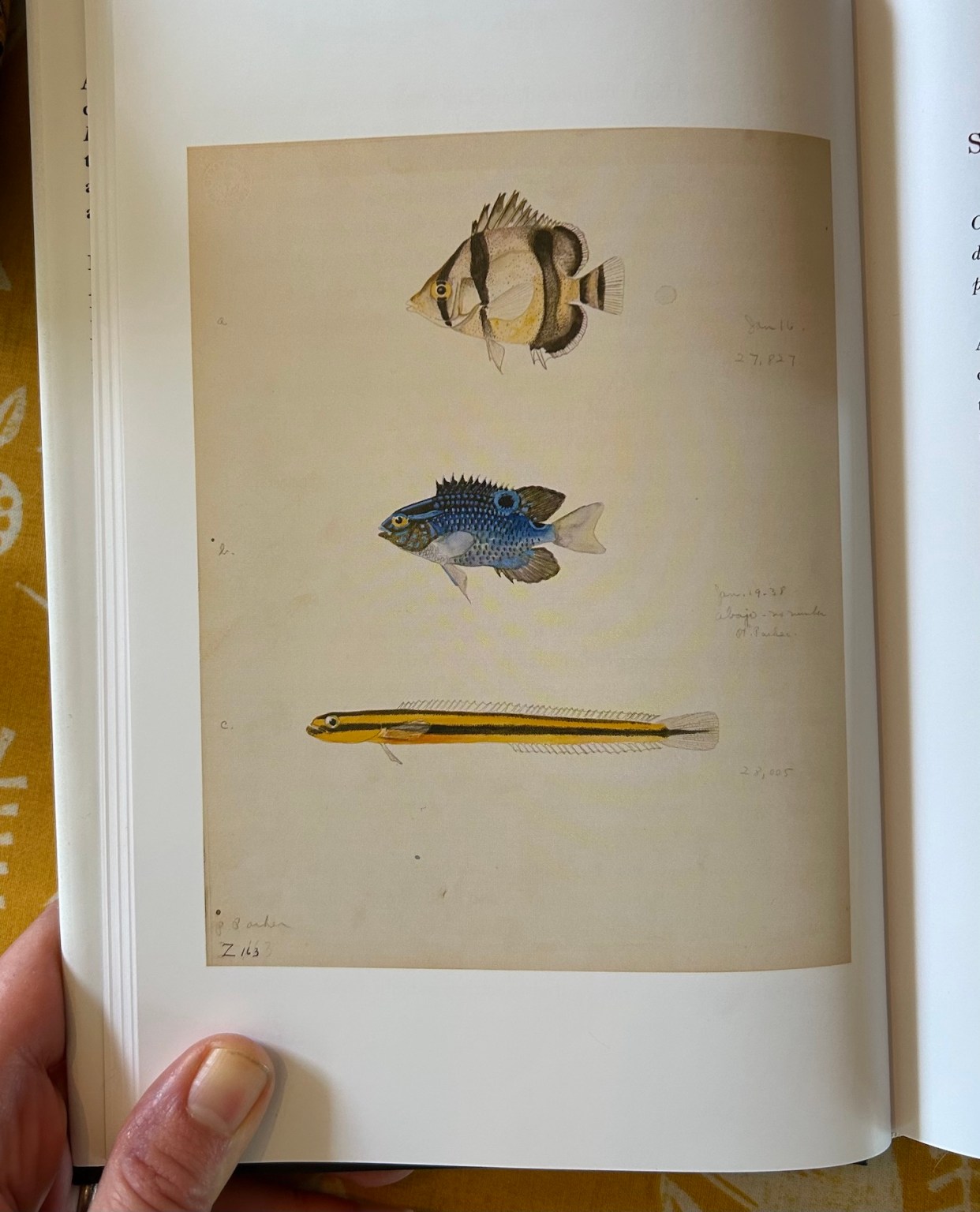 Author Q&A: Plumbing the depths of the ocean, and human discovery - WyoFile