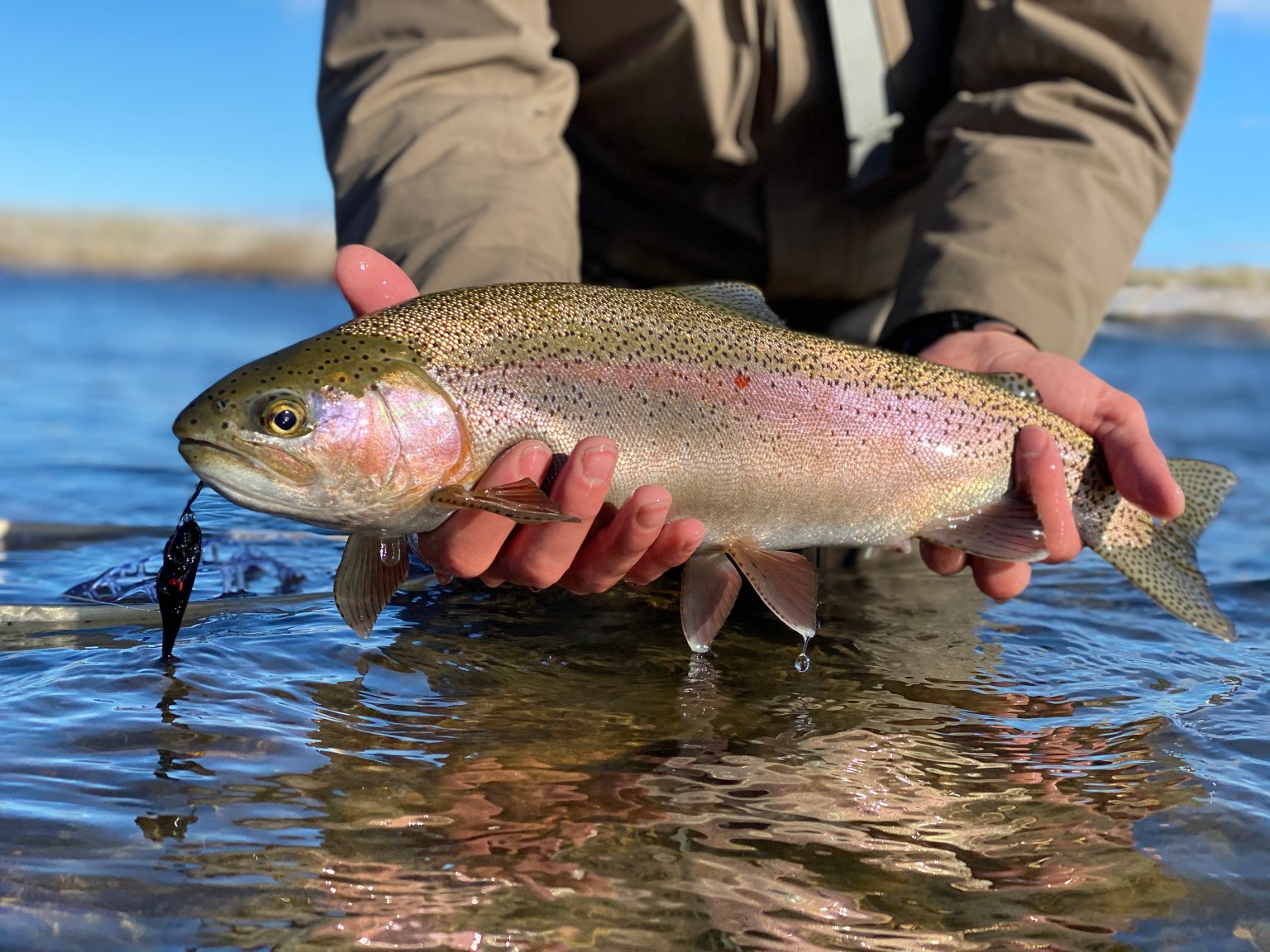 Hooking injuries taking toll on North Platte fishing - WyoFile
