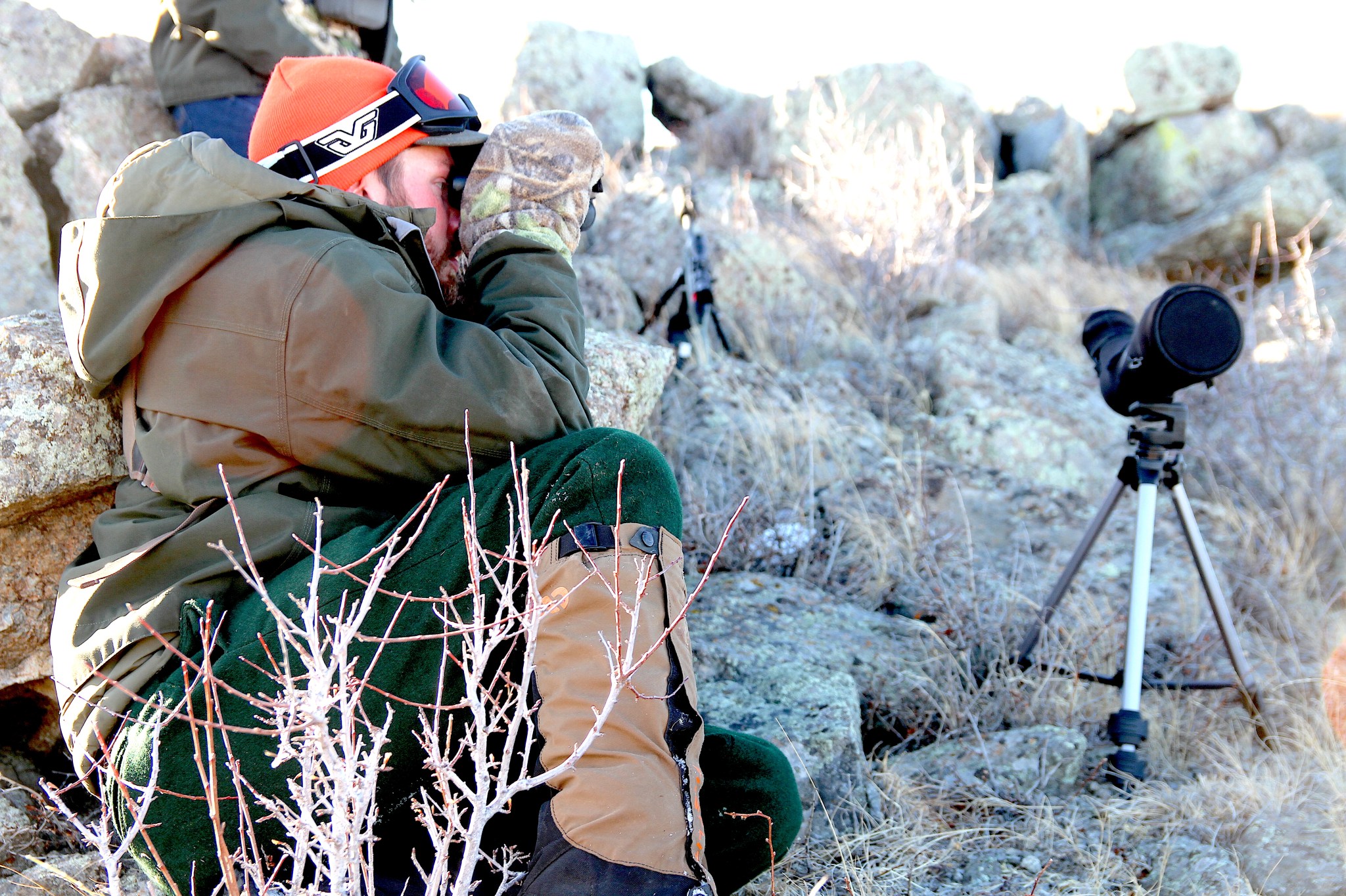 Hired guns? Unlimited tags? Wyoming levels up elk killing efforts - WyoFile