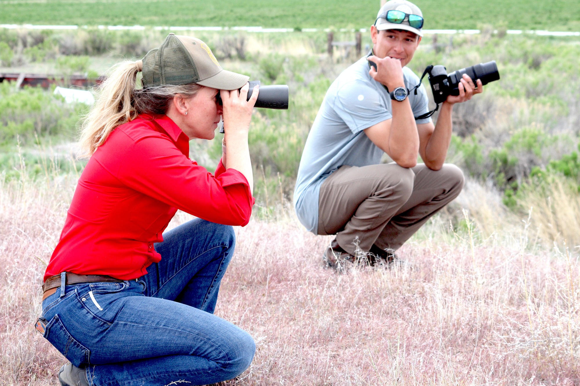 A Wyoming mule deer herd is so riddled with CWD it could nearly vanish ...