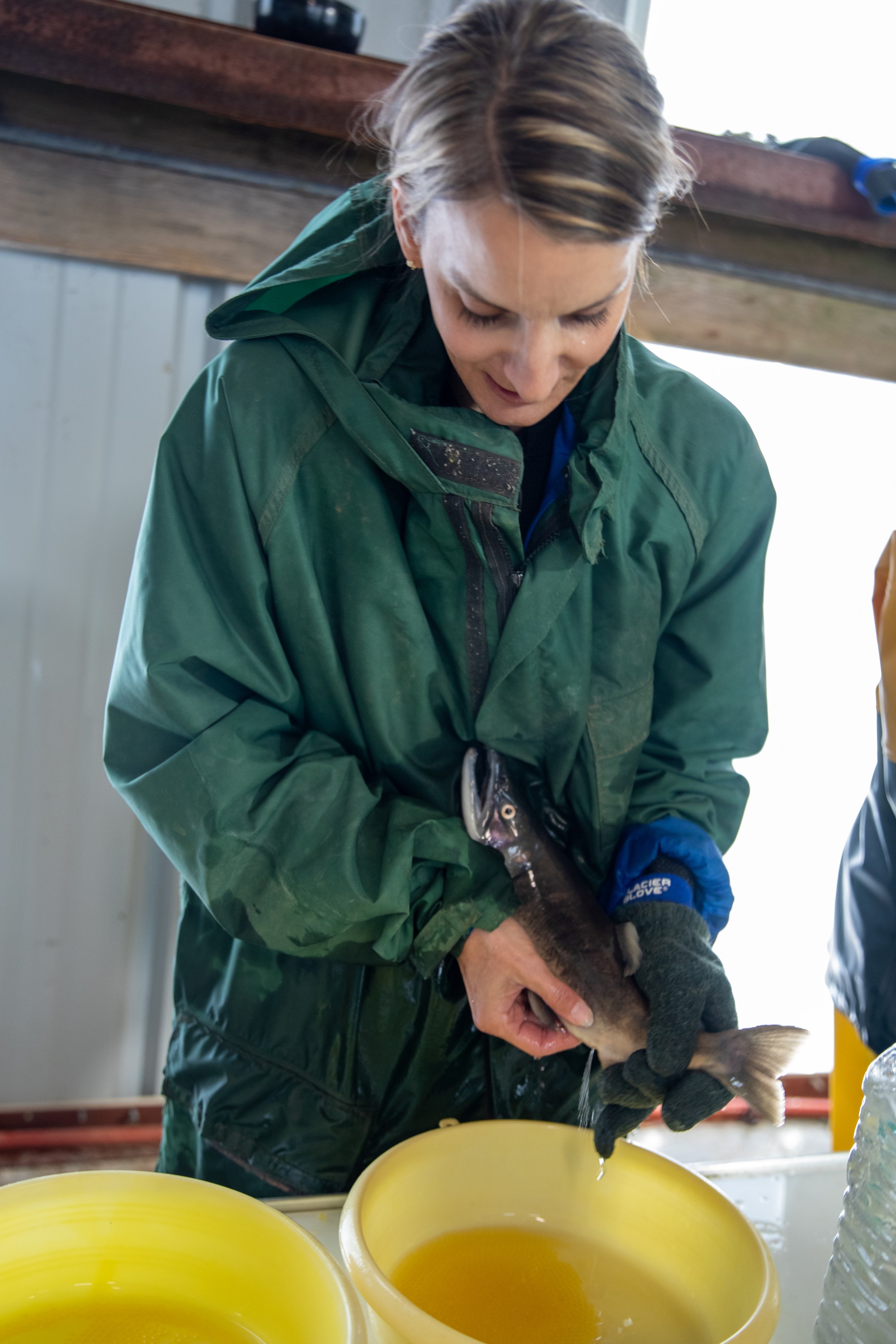 Q&A with Angi Bruce: Wyoming Game and Fish’s first female director ...