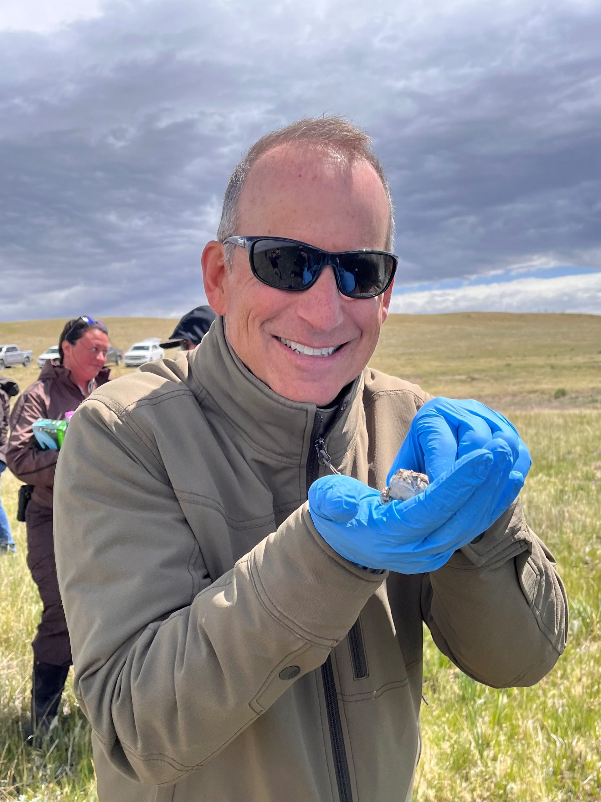 Wyoming toads’ new home key to their recovery - WyoFile
