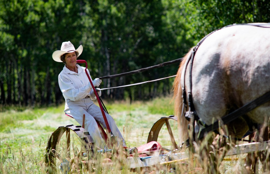 At 84, Lander horseman still makes hay the old-fashioned way - WyoFile