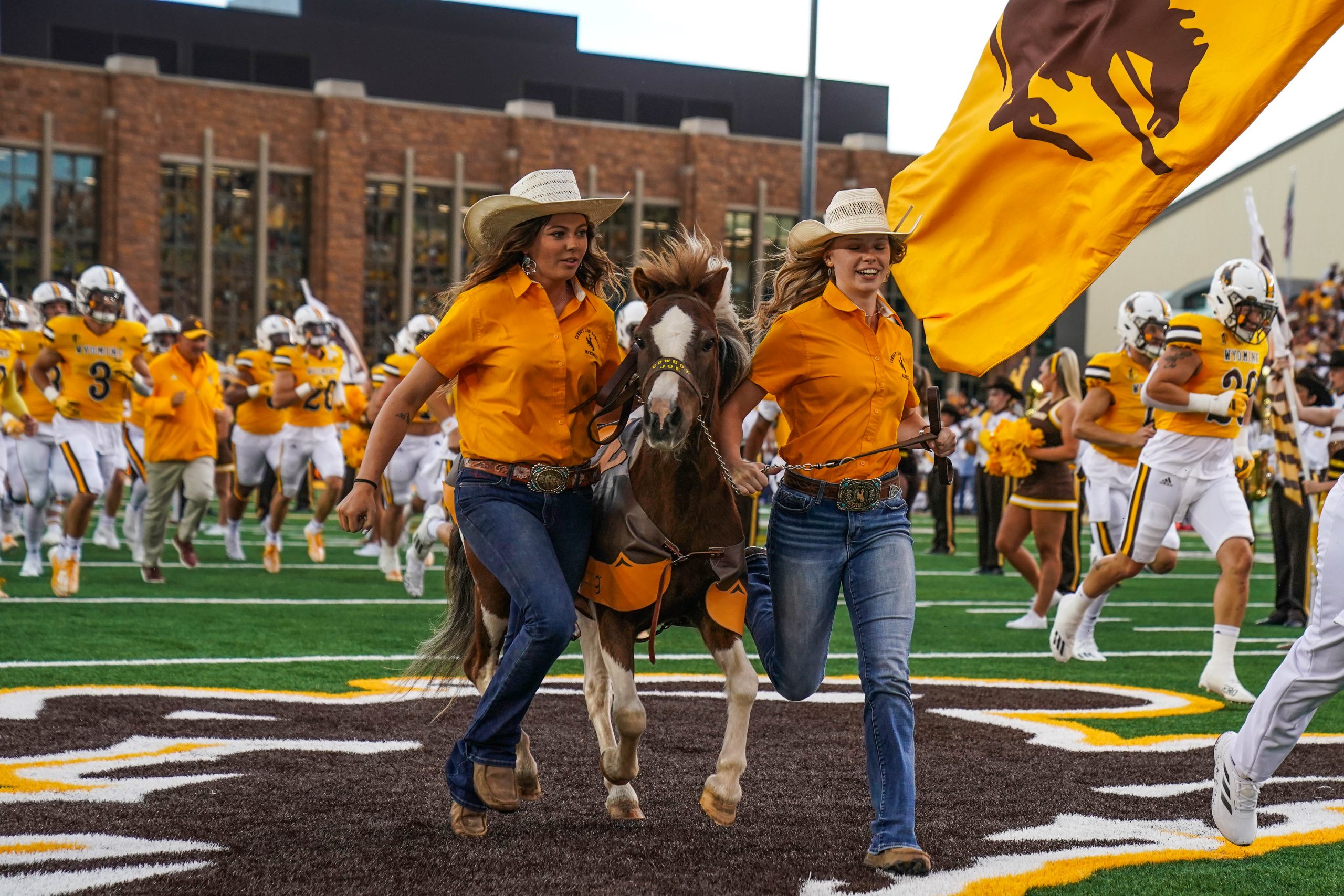 Meet Cowboy Joe V, UW’s iconic live mascot - WyoFile