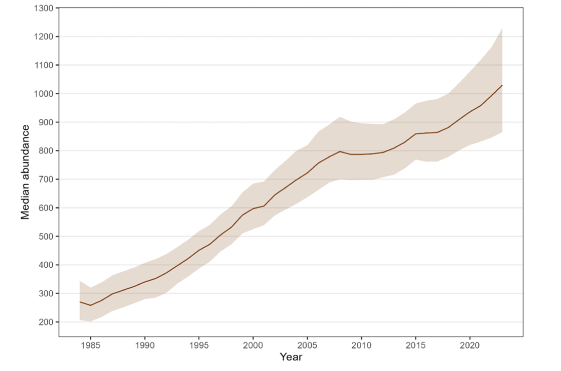 The new way biologists count Yellowstone-region grizzly bears ...