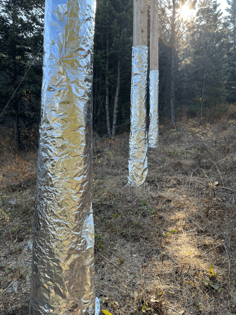 In the (power) line of fire - WyoFile