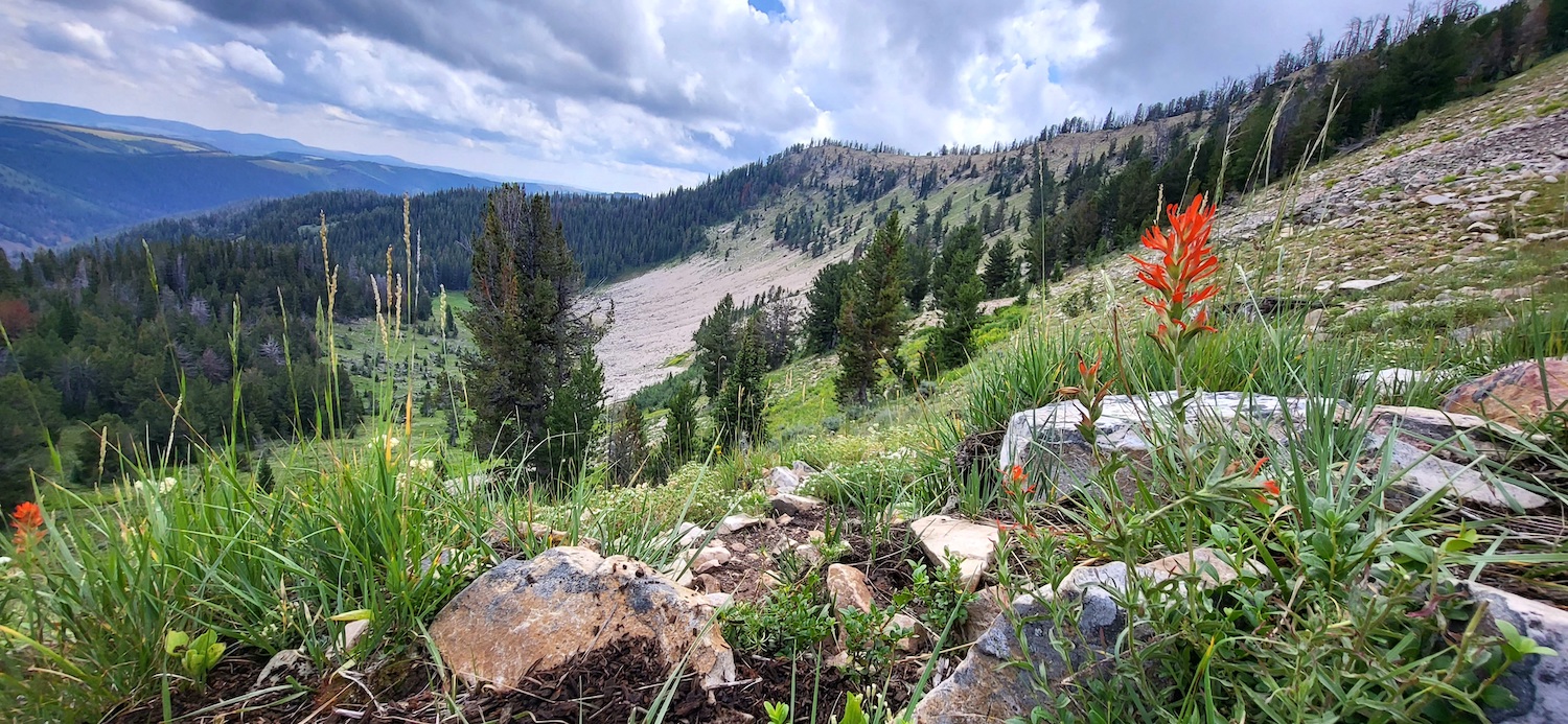 Forest Service to rehab neglected 180-mile trail network in the Wyoming ...