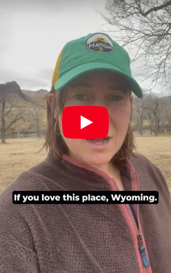 Voices from the field - Anna Sale - WyoFile