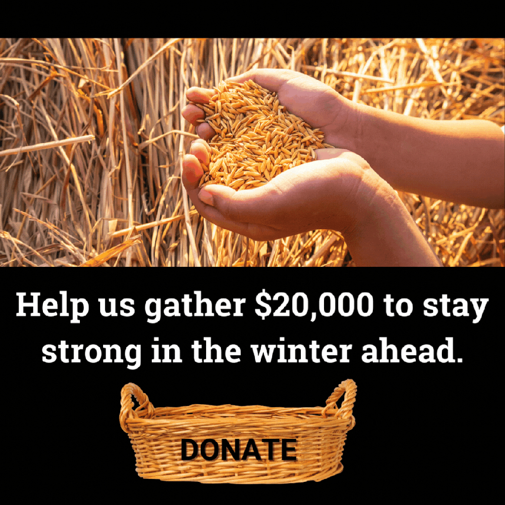 CJ Baker, Powell Tribune, Author at WyoFile