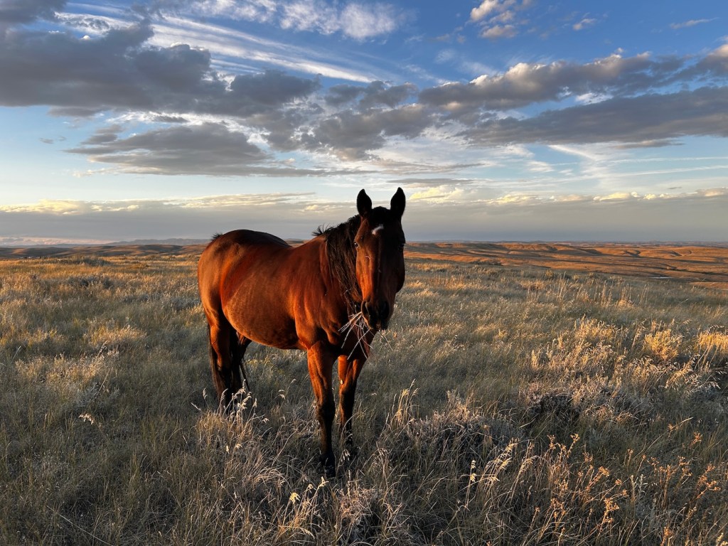 Another electric rate hike in Wyoming: Rocky Mountain Power asks for ...