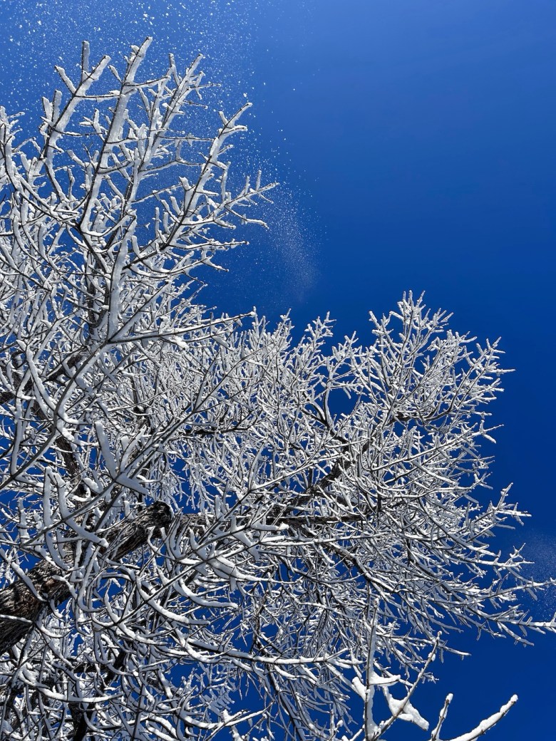 Sticky spring snow a relief across Wyoming - WyoFile