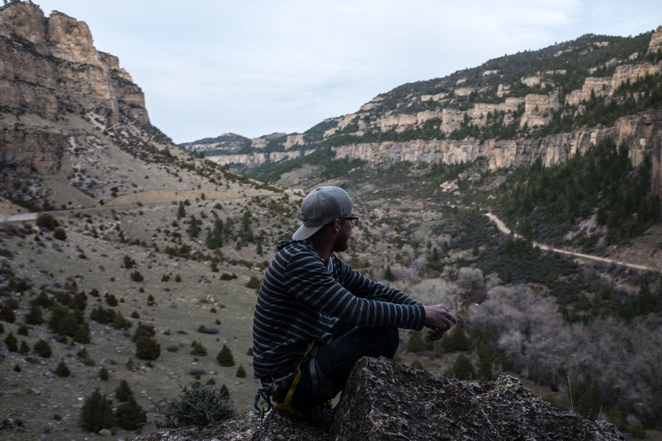 Dismantling the US Forest Service harms public lands and communities ...